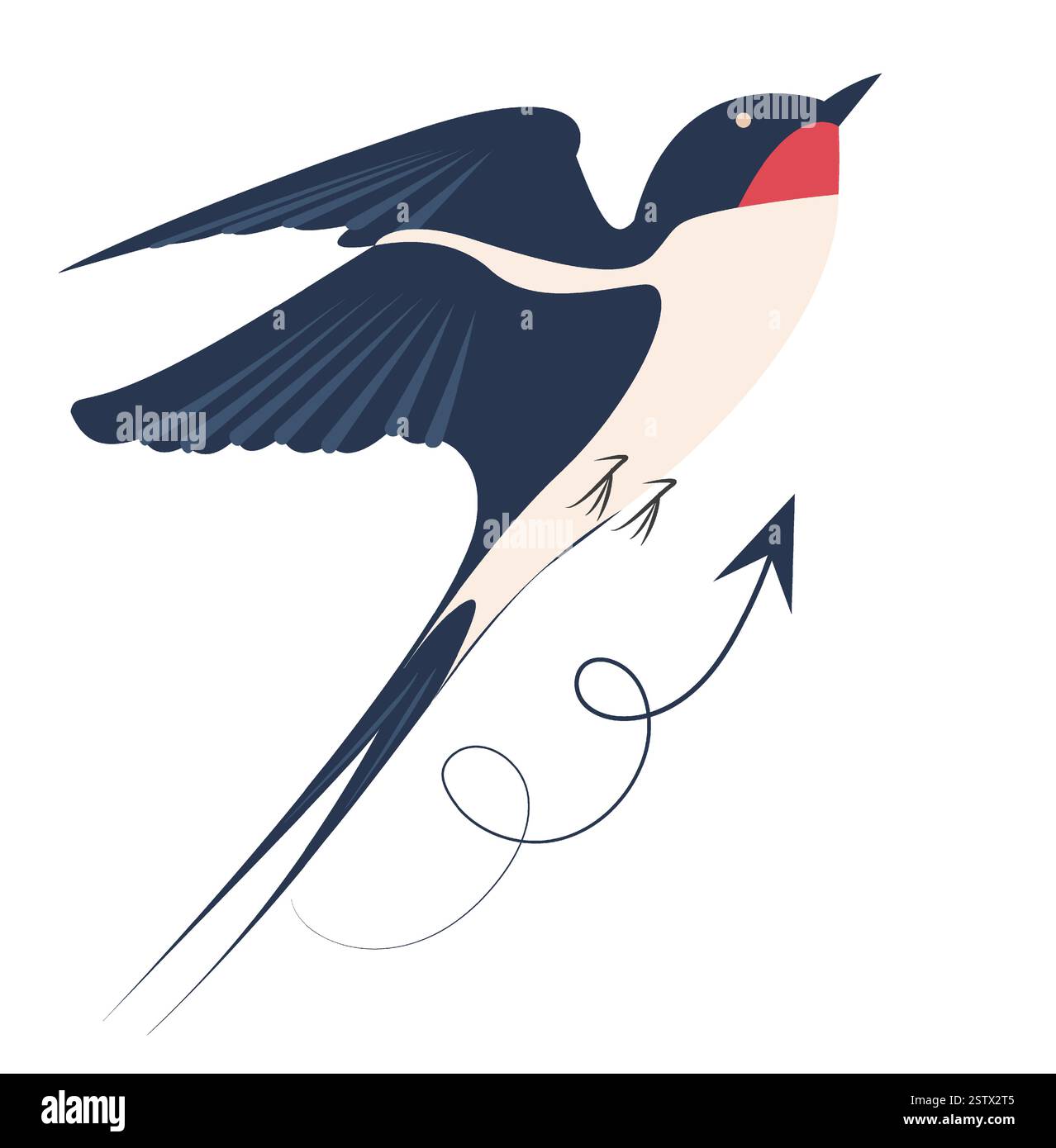 Colorful vector illustration of a swallow bird in flight ascending with ...