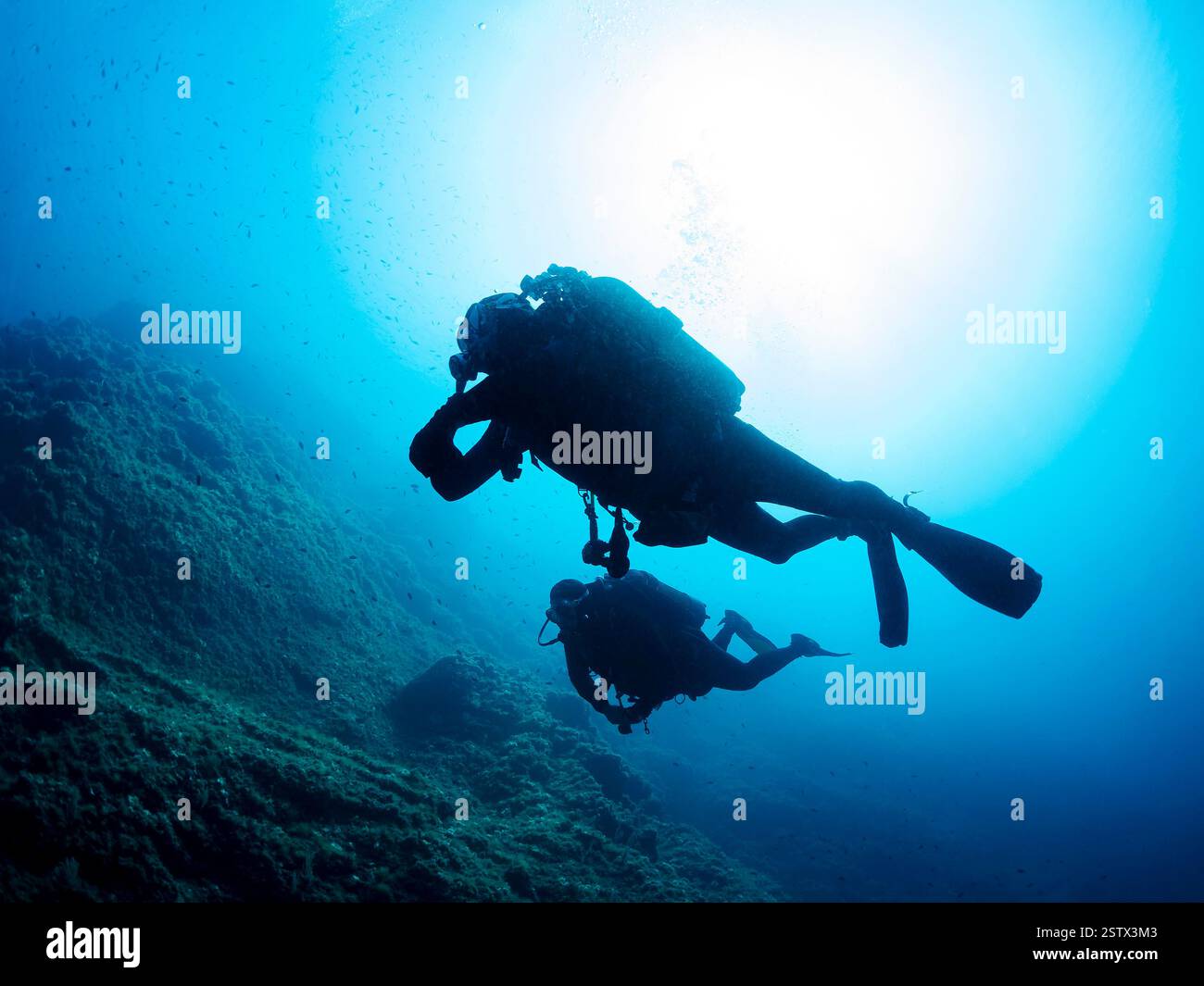 Scuba divers in background hi-res stock photography and images - Alamy