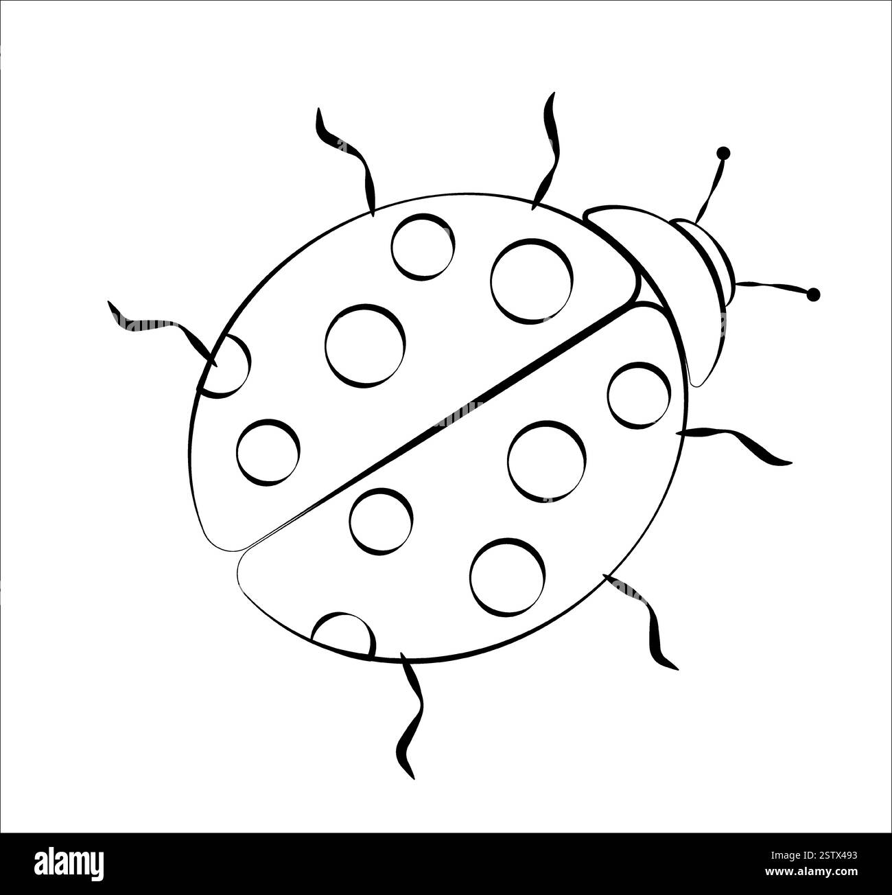 Vector illustration of a ladybug design with distinct polka dots and ...