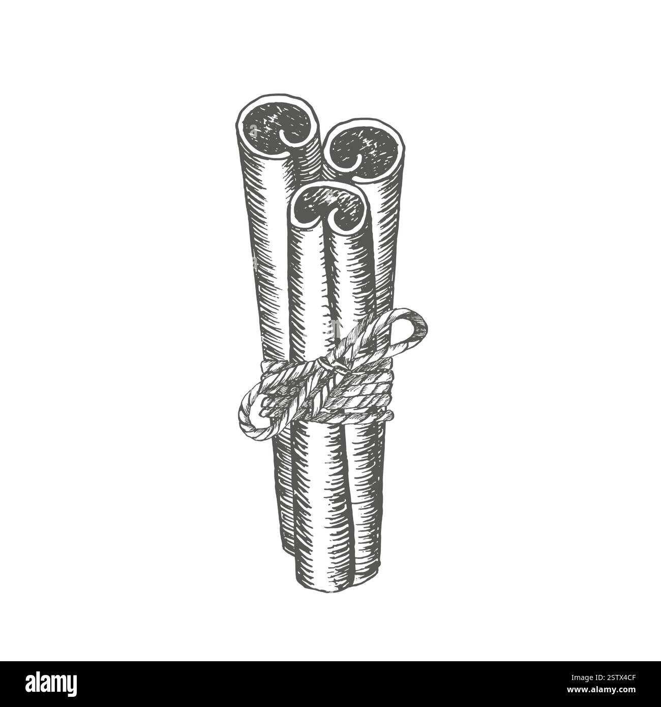 Christmas cinnamon sticks Stock Vector Images - Alamy