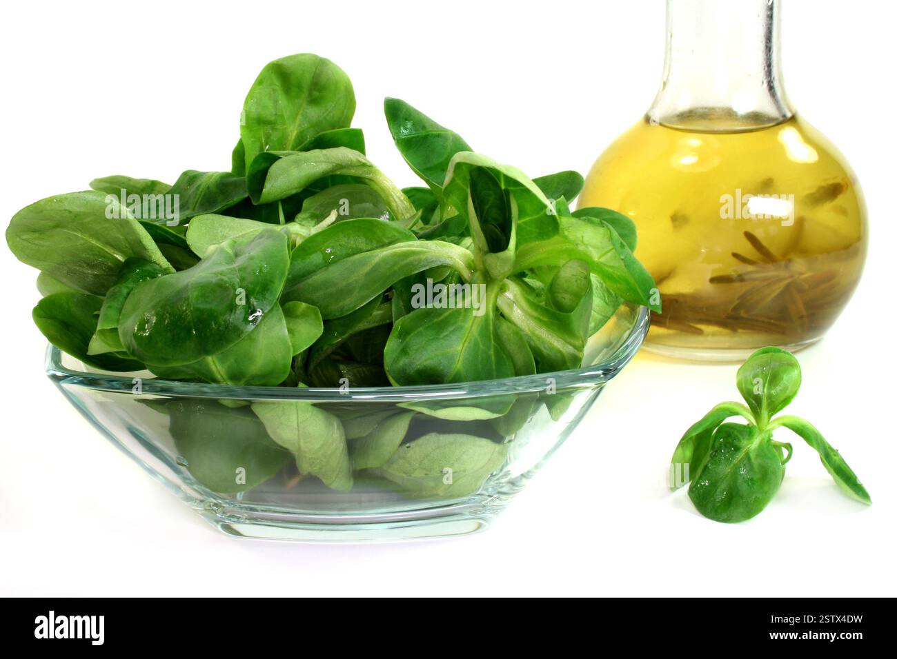 Field salad Cut Out Stock Images & Pictures - Alamy