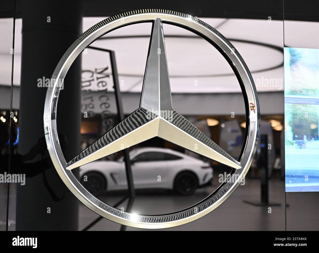 20 February 2025, Baden-Württemberg, Böblingen: A Mercedes star, the ...