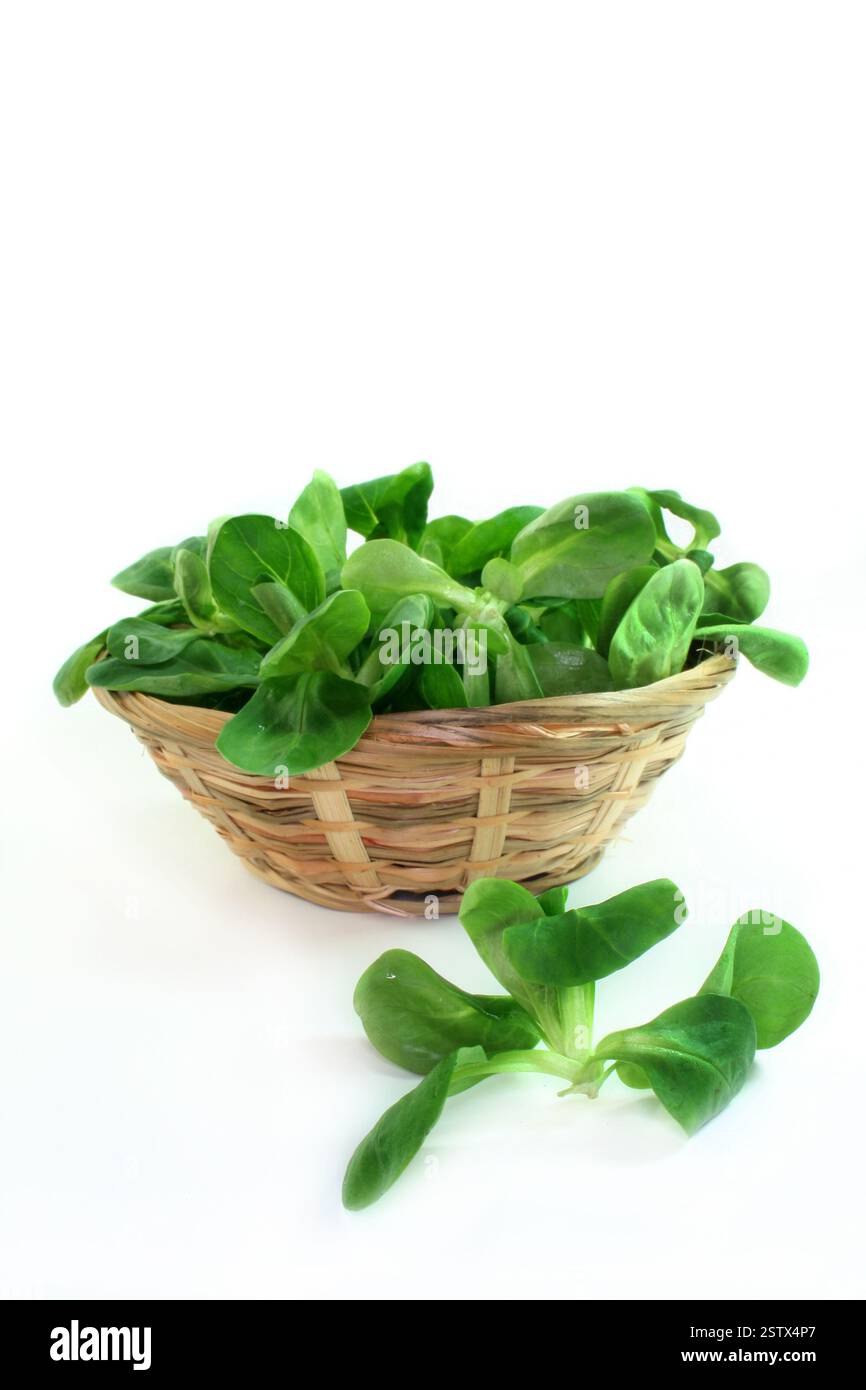 Field salad Cut Out Stock Images & Pictures - Alamy