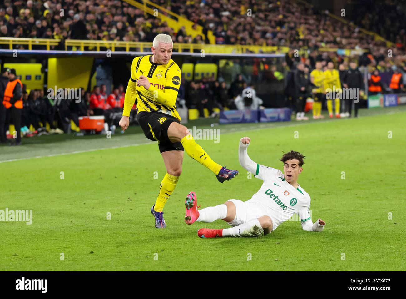 Dortmund, Deutschland. 19th Feb, 2025. Julian Ryerson (Borussia Dortmund, #26) (rechts) GER ...