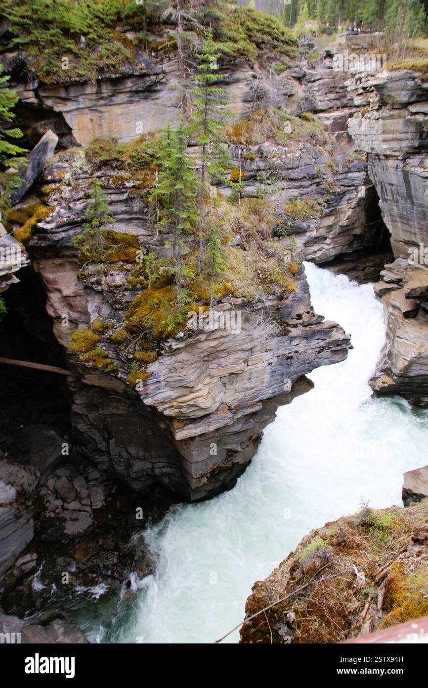 A rocky gorge with a river flowing through steep cliffs, featuring ...