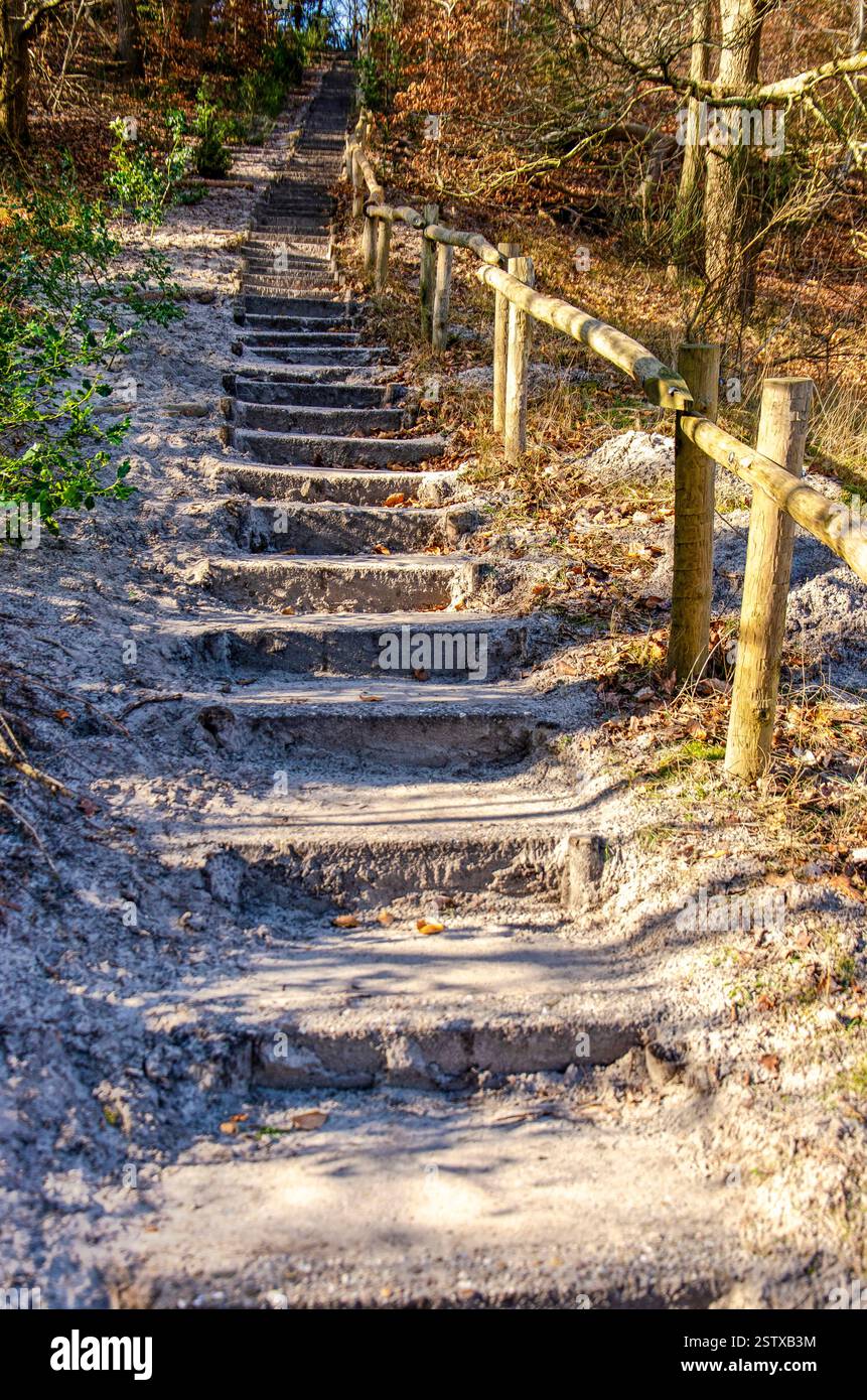 Simple staircase with concrete steps and wooden railing on a hiking ...
