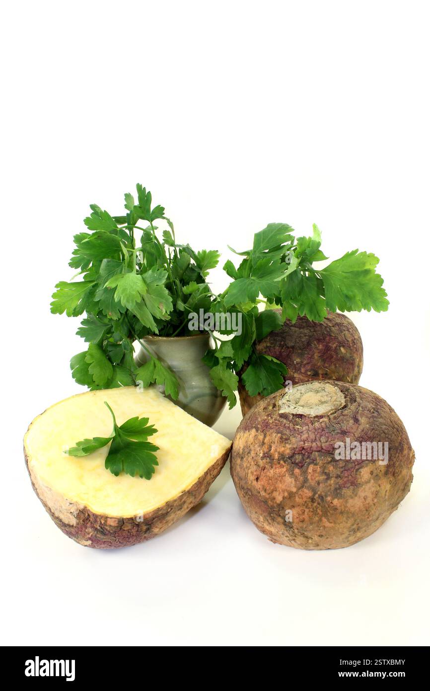 The turnip Cut Out Stock Images & Pictures - Alamy