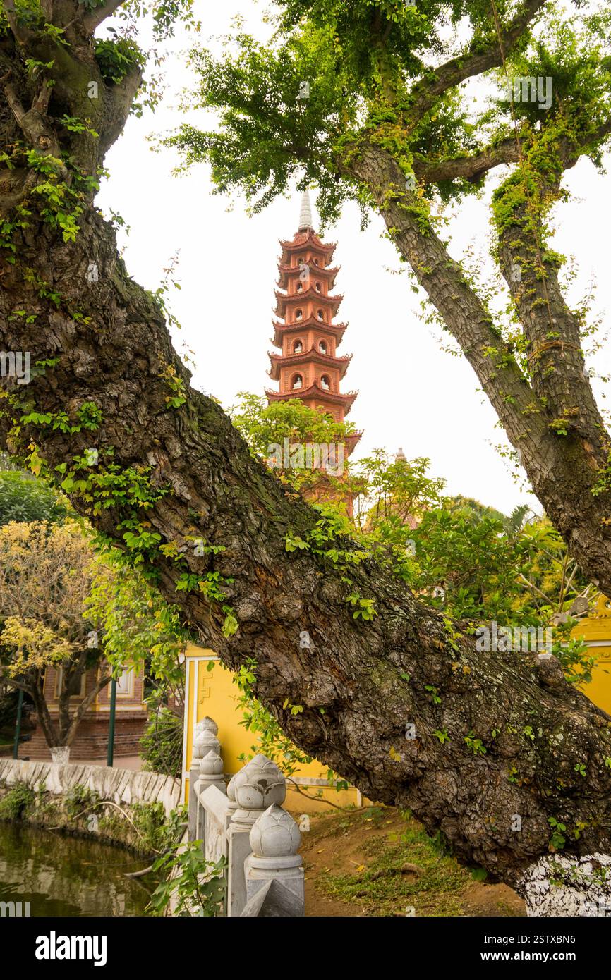 Tall temple tower seen through tree trunk in Hanoi Vietnam Stock Photo ...