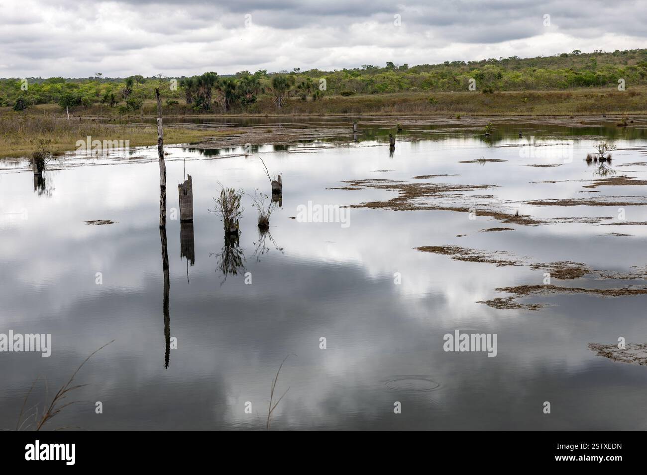 Landscape, Grande Sertao Veredas National Park, Cerrado, Brazil ...