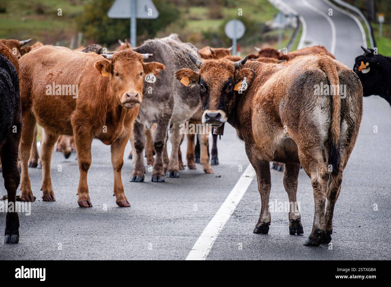 Blocking trade hi-res stock photography and images - Alamy