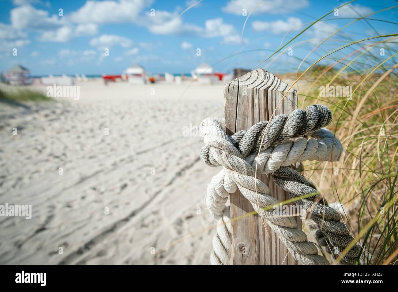 rope loop on a log on a beach Stock Photo - Alamy