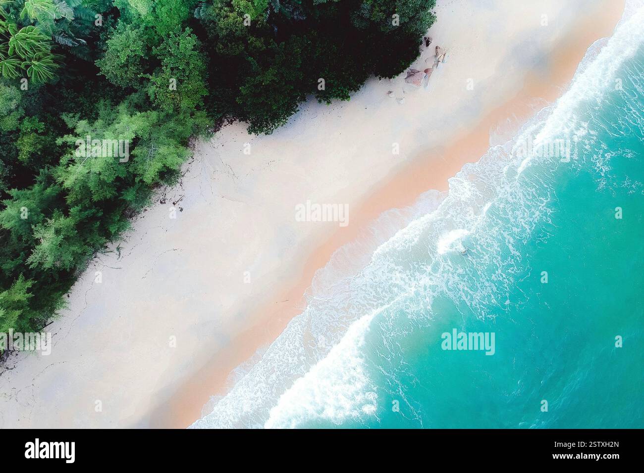 beautiful paradisiacal beach, a beautiful holiday destination Stock ...