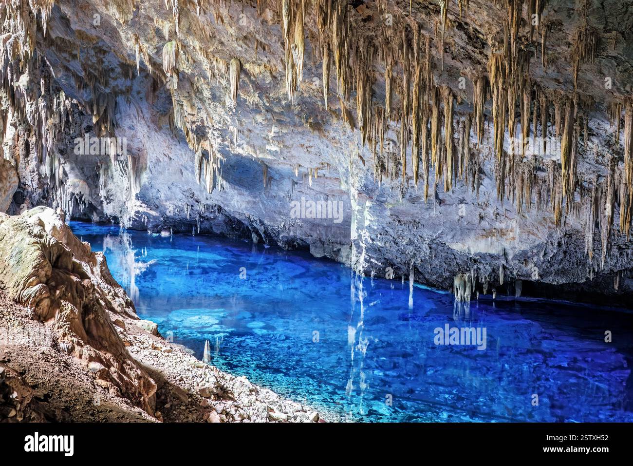 Stalactite, Gruta do Lago Azul, Blue Lake cave, Bonito, Mato Grosso do ...