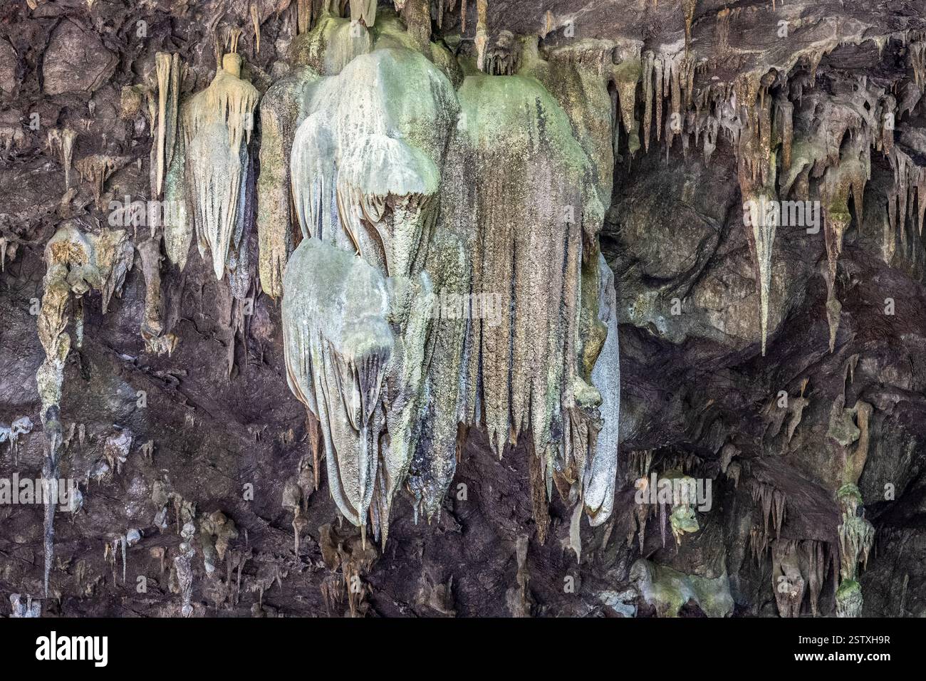 Stalactite, Gruta do Lago Azul, Blue Lake cave, Bonito, Mato Grosso do ...