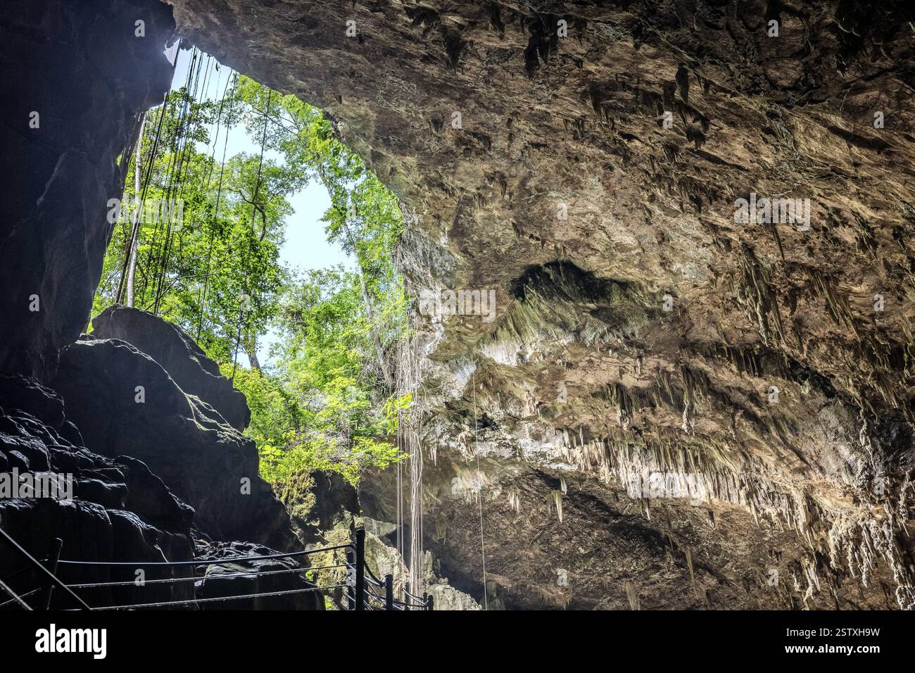 Entrance, Gruta do Lago Azul, Blue Lake cave, Bonito, Mato Grosso do ...