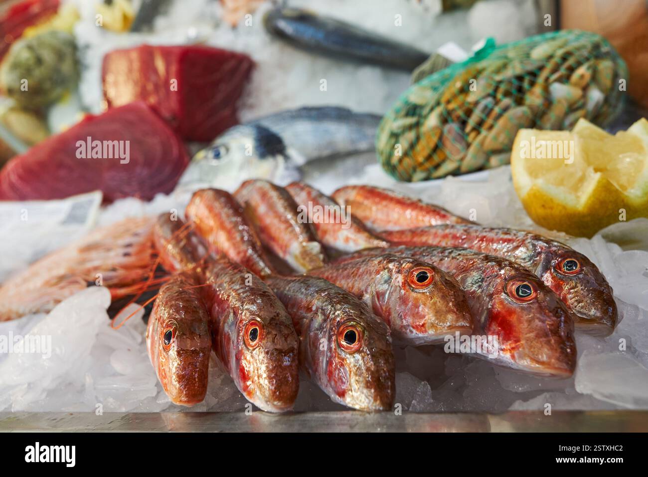 Red mullet and seafood displayed in a display case ready to eat in a ...