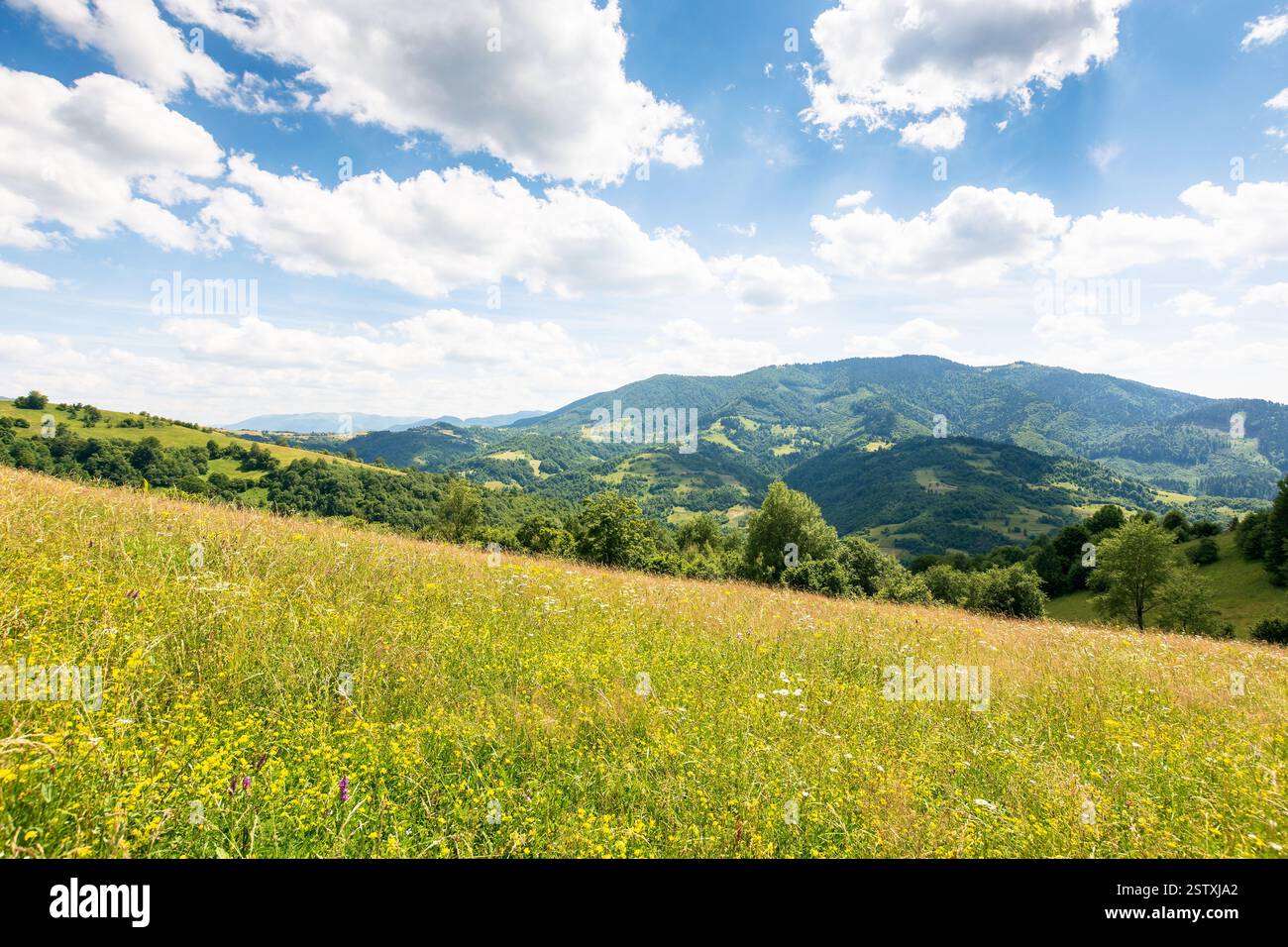 nature background with green field on the hill. natural environment ...