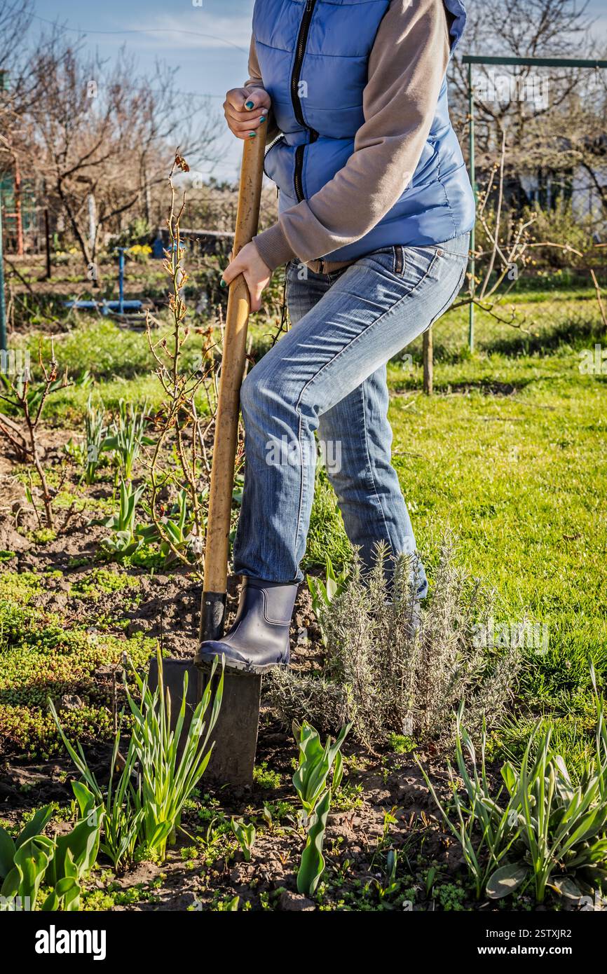 Gardener in rubber boots is digging soil on the flower bed. Female ...