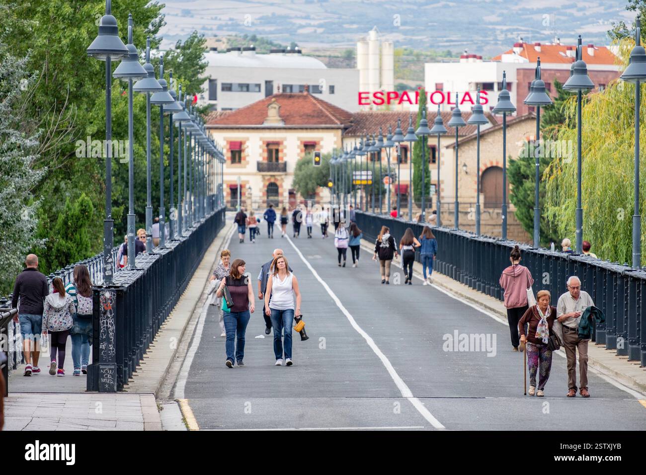 Iron Bridge, Ebro River, inaugurated in 1882, - Sagasta Bridge ...