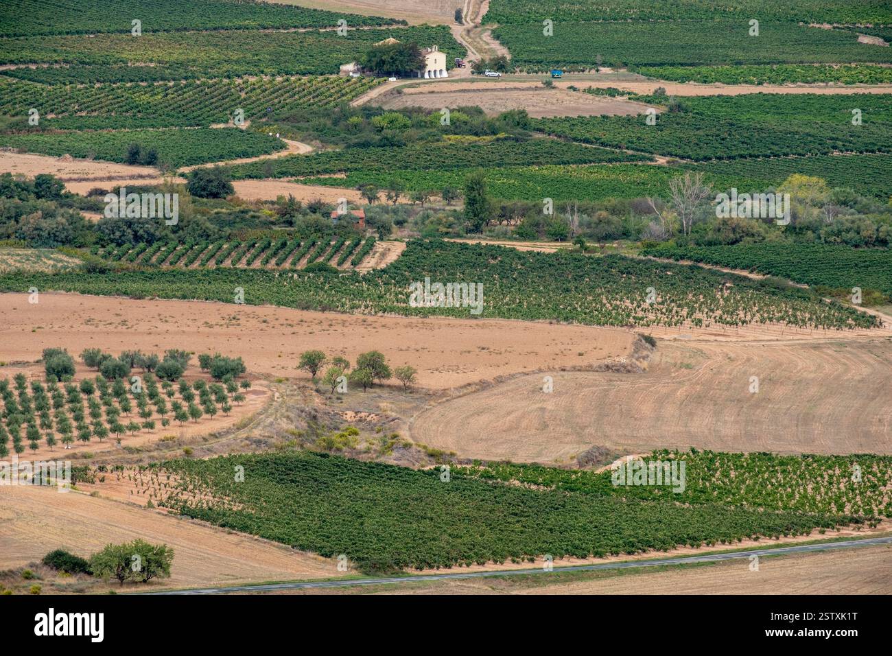 Produccion alimentos hi-res stock photography and images - Alamy