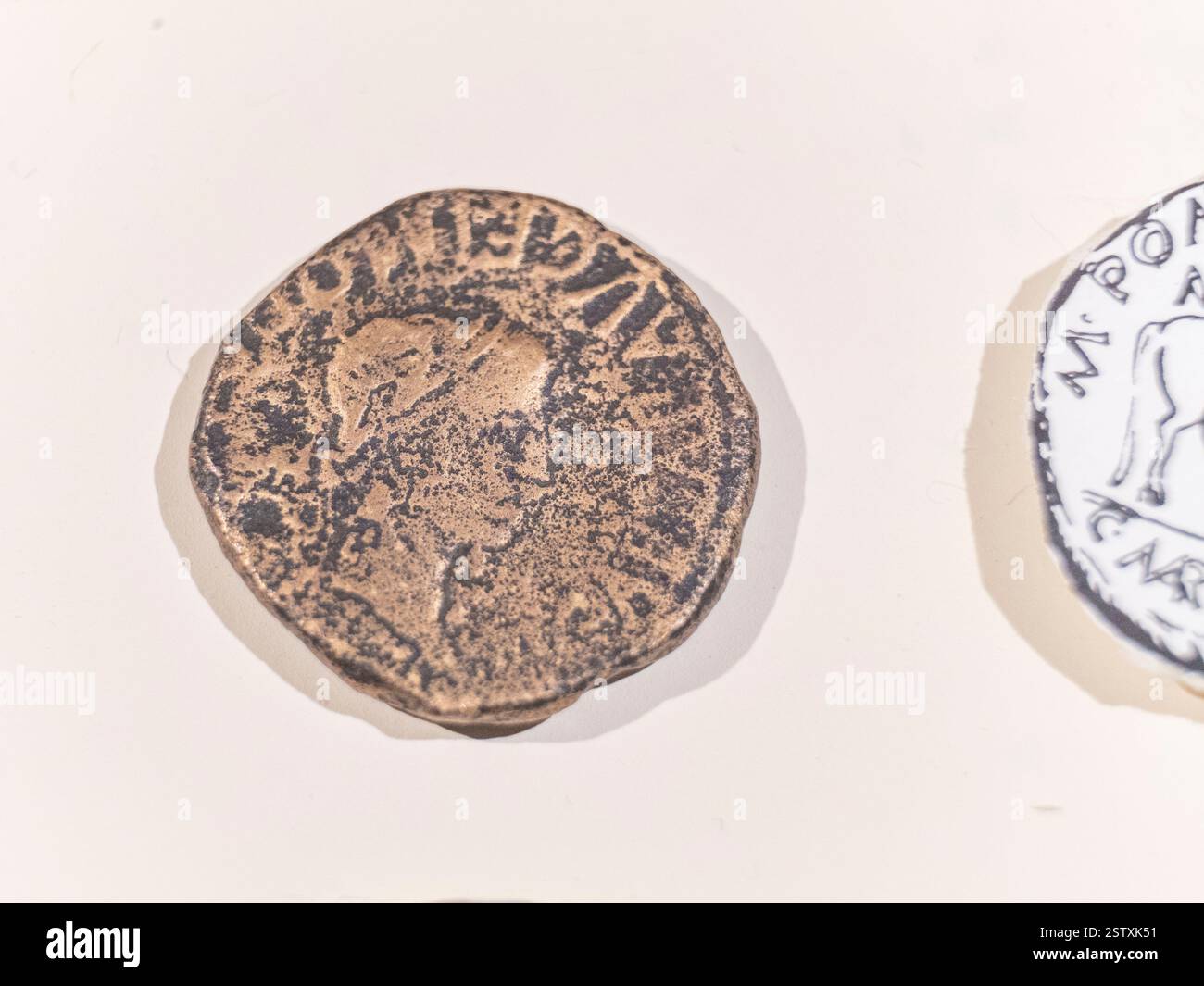 Museum of Romanization, Calahorra, La Rioja, Spain, Europe Stock Photo ...