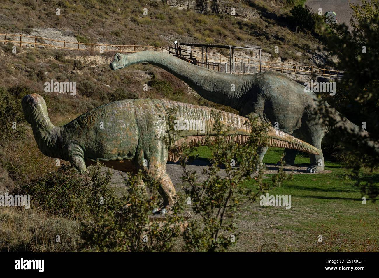 Full-size dinosaur models Stock Photo - Alamy