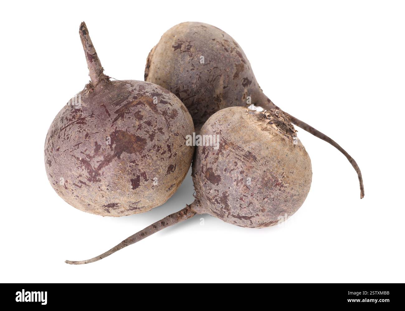 Beetroots different color hi-res stock photography and images - Alamy