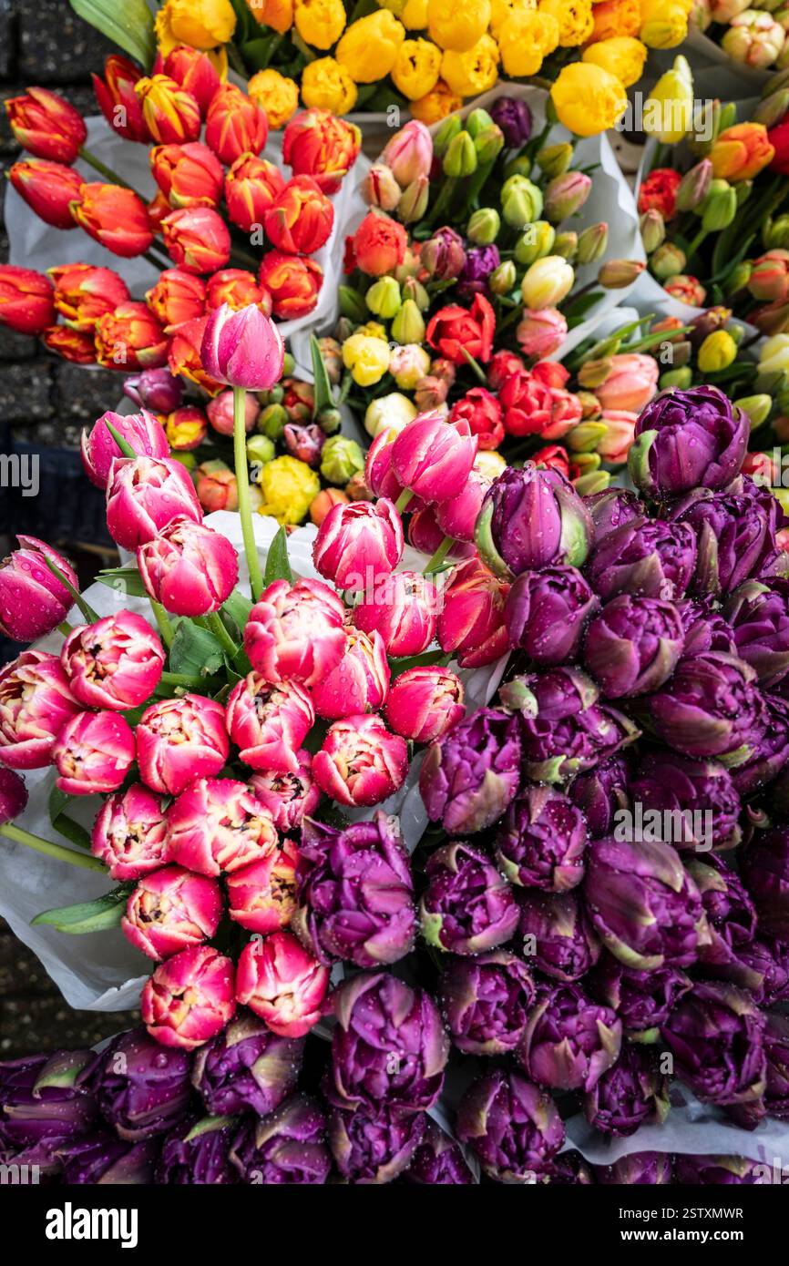 Tulips floating flower market hi-res stock photography and images - Alamy
