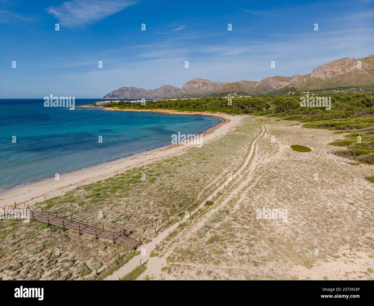 Wooden path to protect the dunes Stock Photo - Alamy