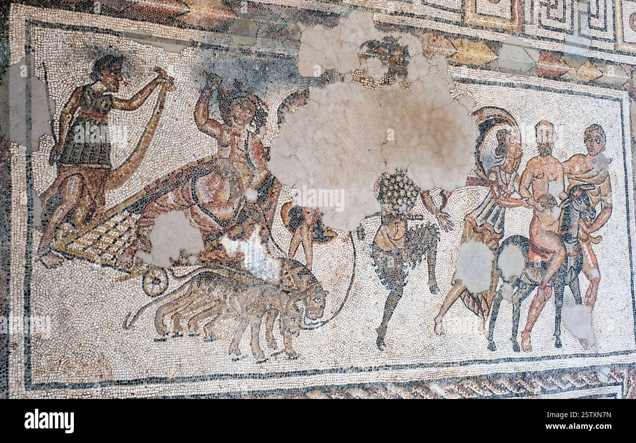 Procession of Bacchus mosaic at the Roman Villa of Fuente Alamo, Puente ...