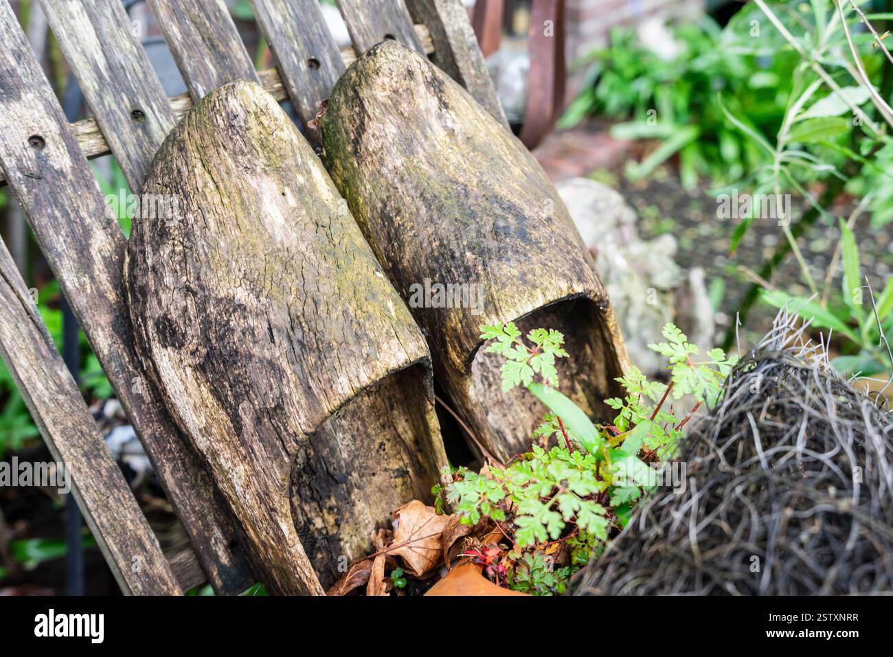 Old wooden clogs Stock Photo - Alamy