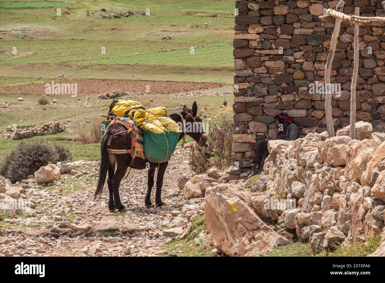 Donkey loaded hi-res stock photography and images - Alamy