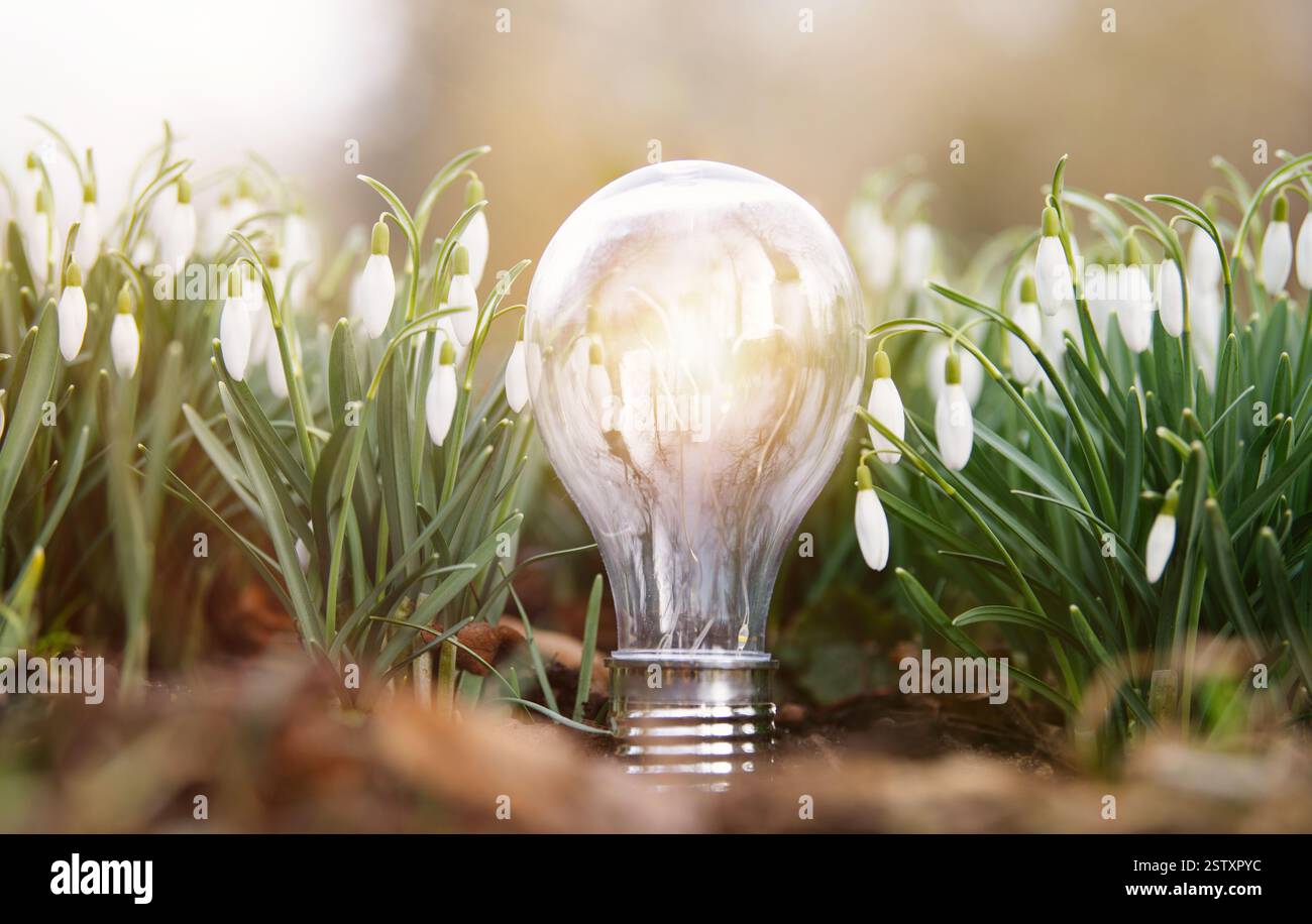 World earth hour, light bulb stands on a meadow with snowdrop flowers ...
