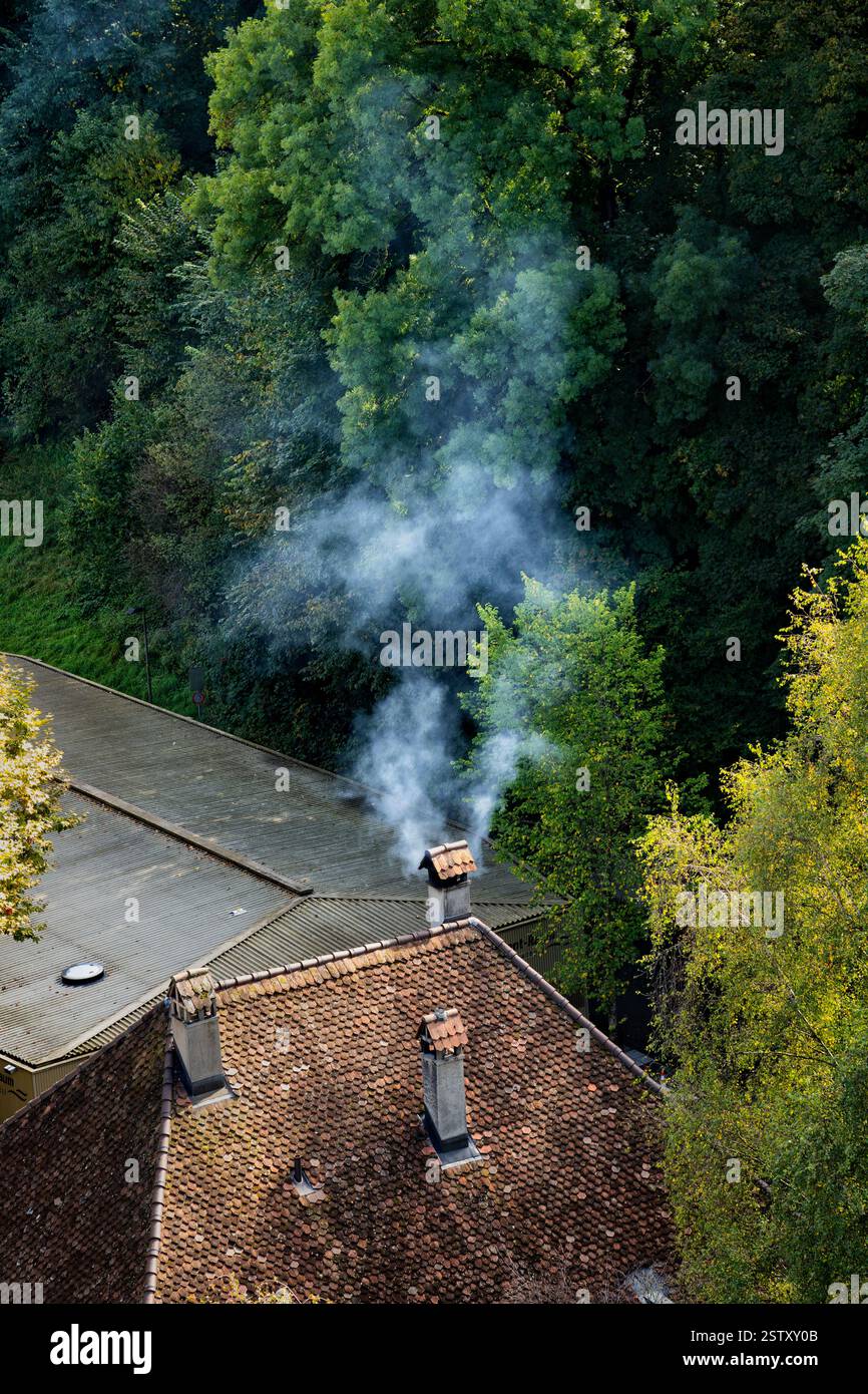 Slanting roof with smoking chimney of traditional tiled building ...
