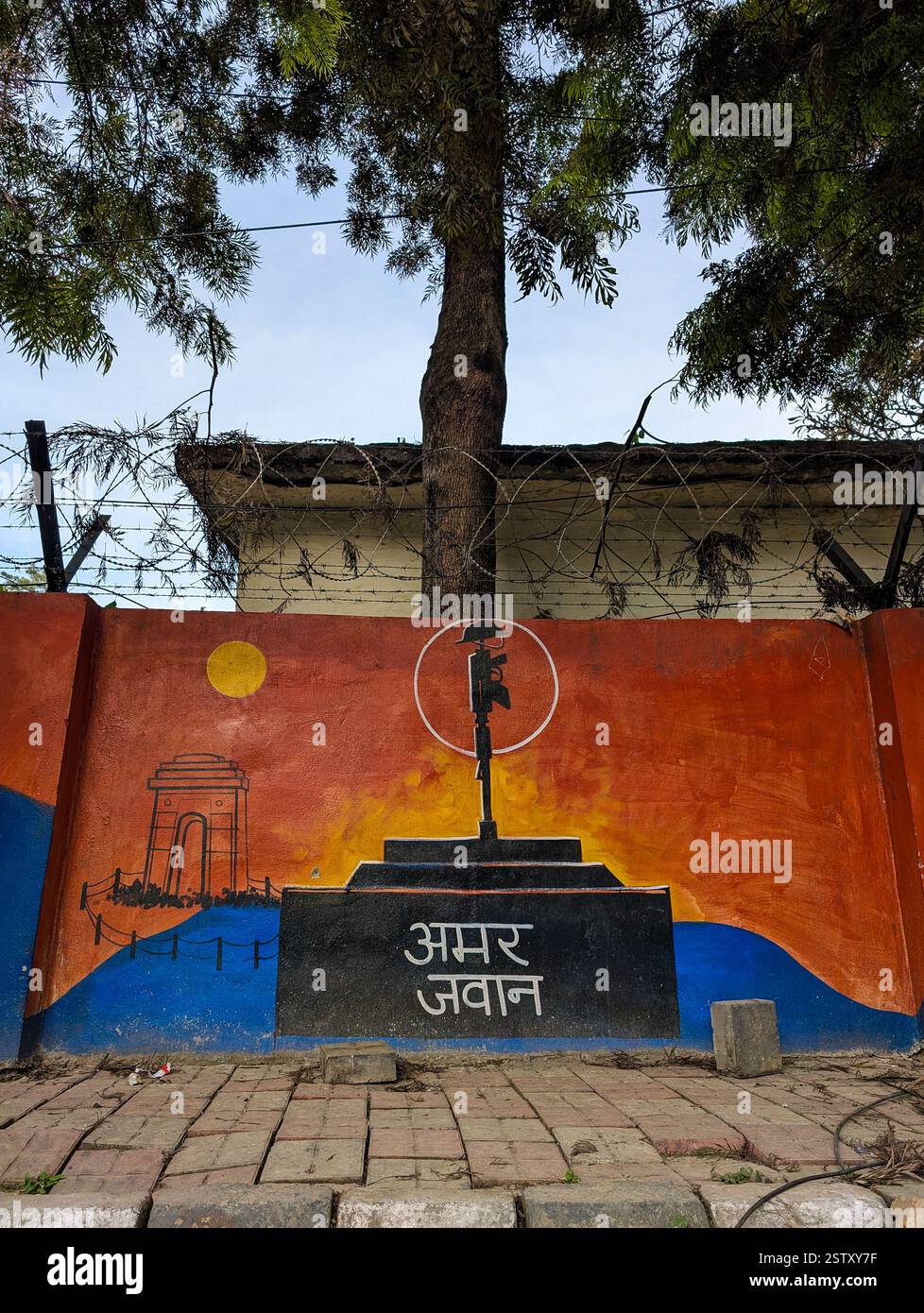 Feb'17th2025 Dehradun Uttarakhand India. Colorful wall art showcasing ...