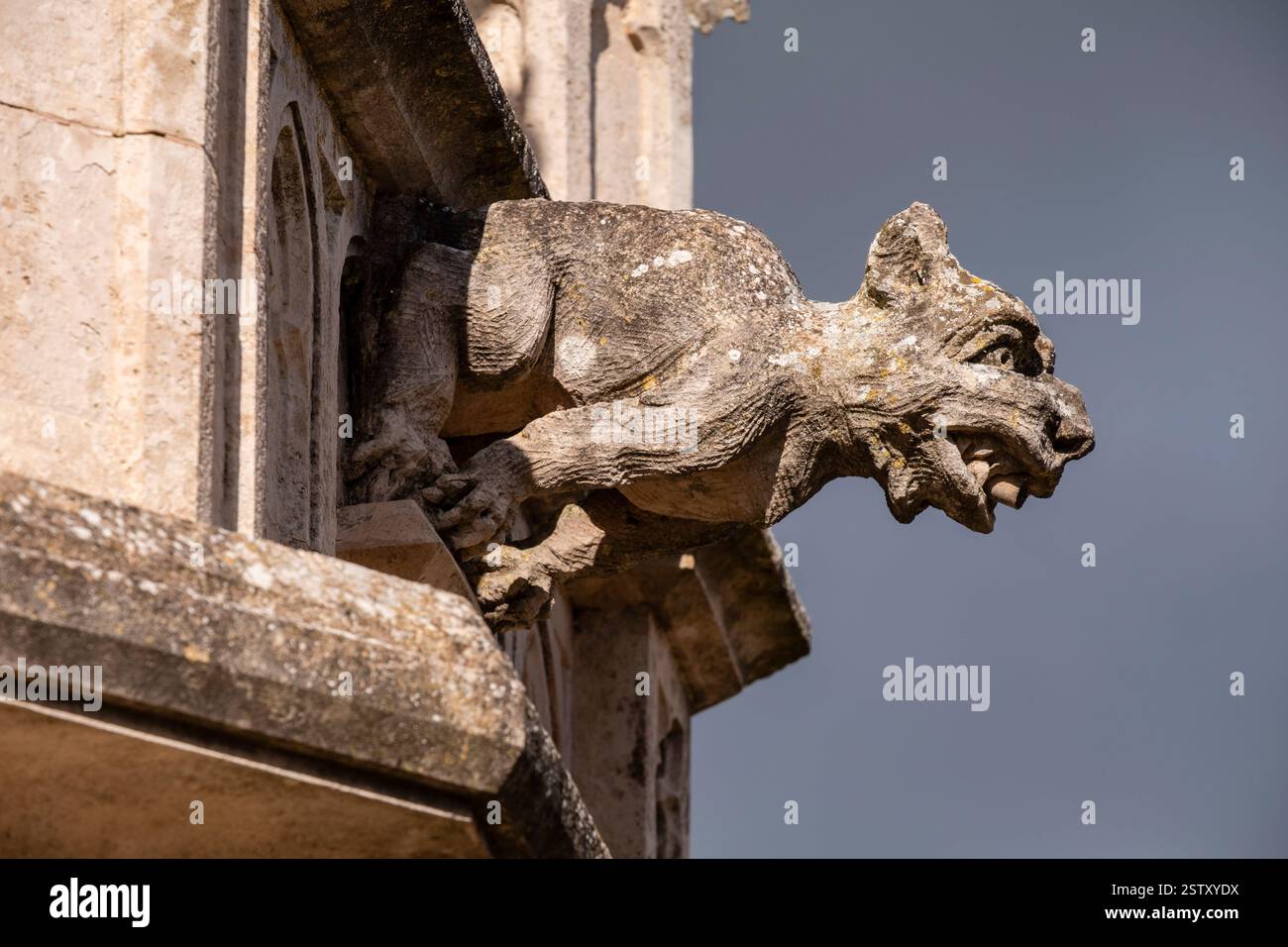 Gargoyle in Garau family pantheon. Santa Margalida cemetery Stock Photo ...