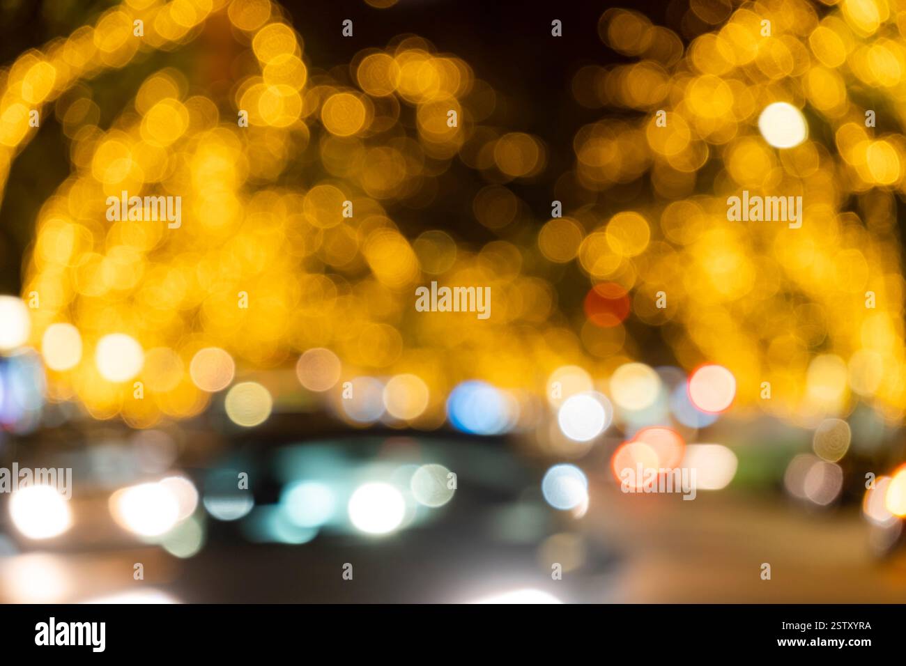Avenue christmas trees hi-res stock photography and images - Alamy