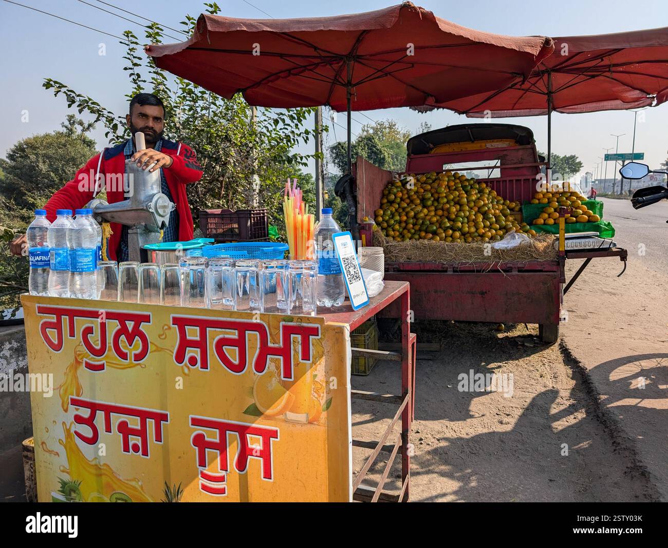 Feb15th 2025 Punjab India. Roadside vendor selling local oranges and ...