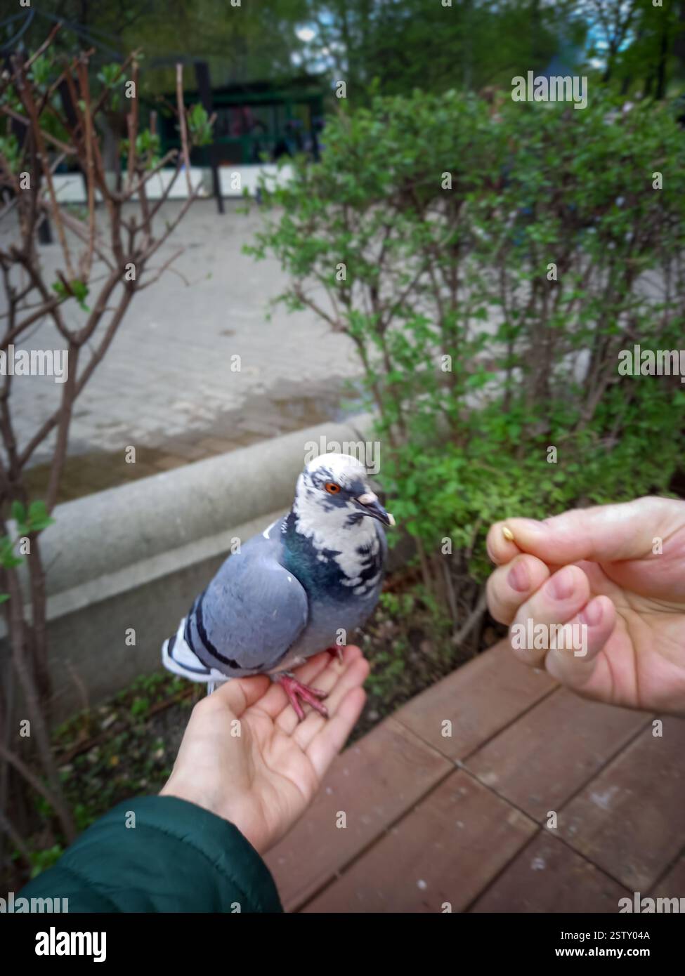 Trust arm hi-res stock photography and images - Alamy