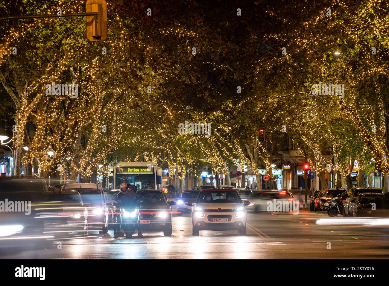 Trees street lighting hi-res stock photography and images - Alamy