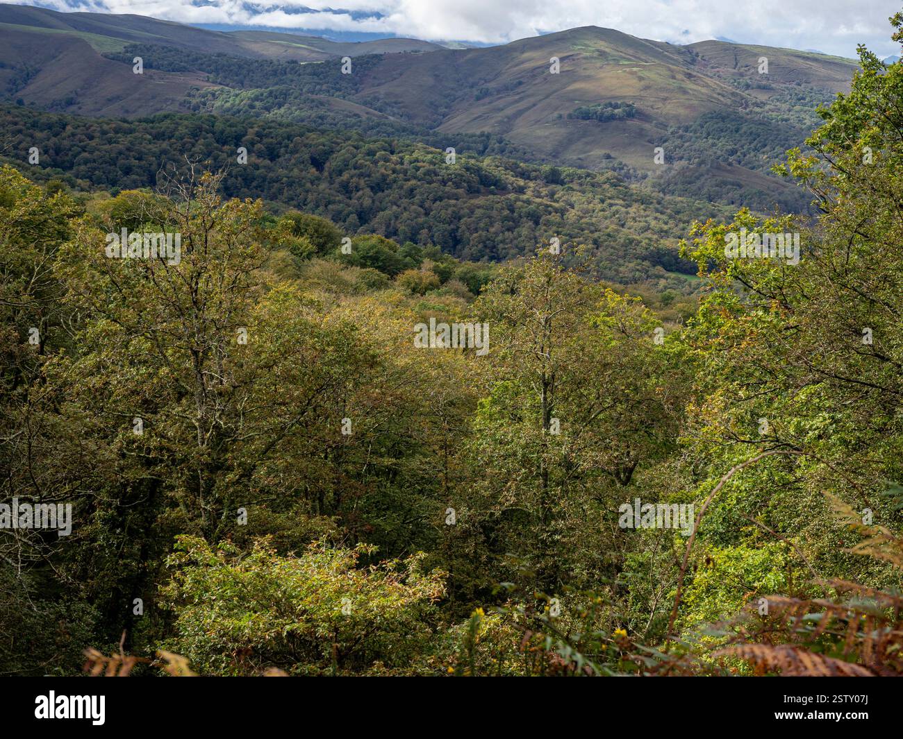 Parque natural del hi-res stock photography and images - Alamy