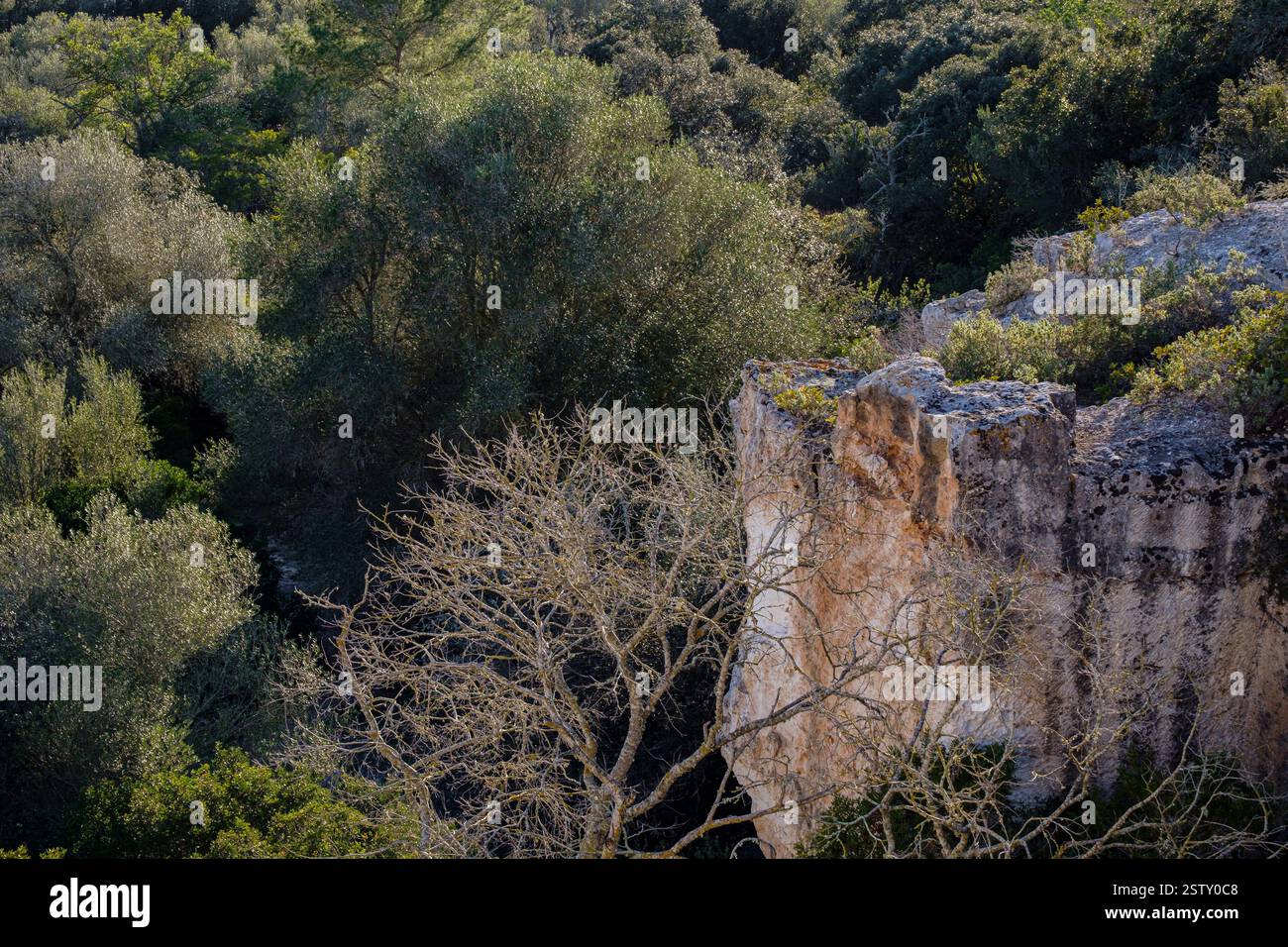 Old sand quarry hi-res stock photography and images - Alamy