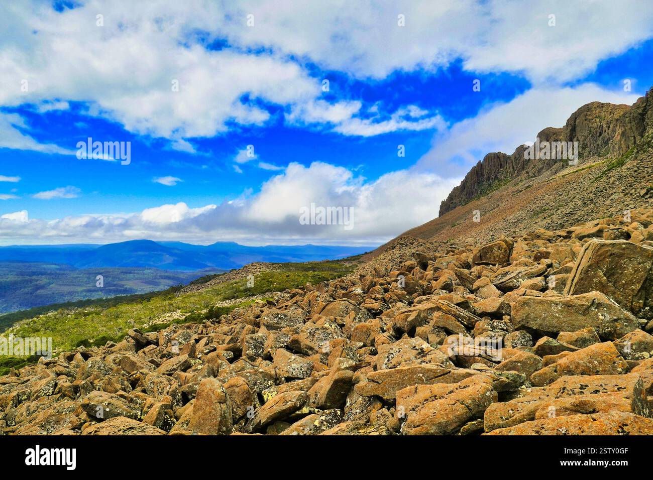 Scree slope above the tree line on the northern flanks of Ben Lomond ...
