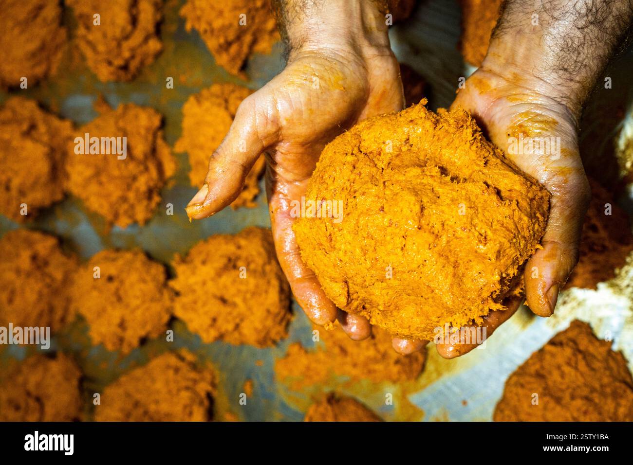 Traditional slaughter of the Mallorcan black pig Stock Photo - Alamy