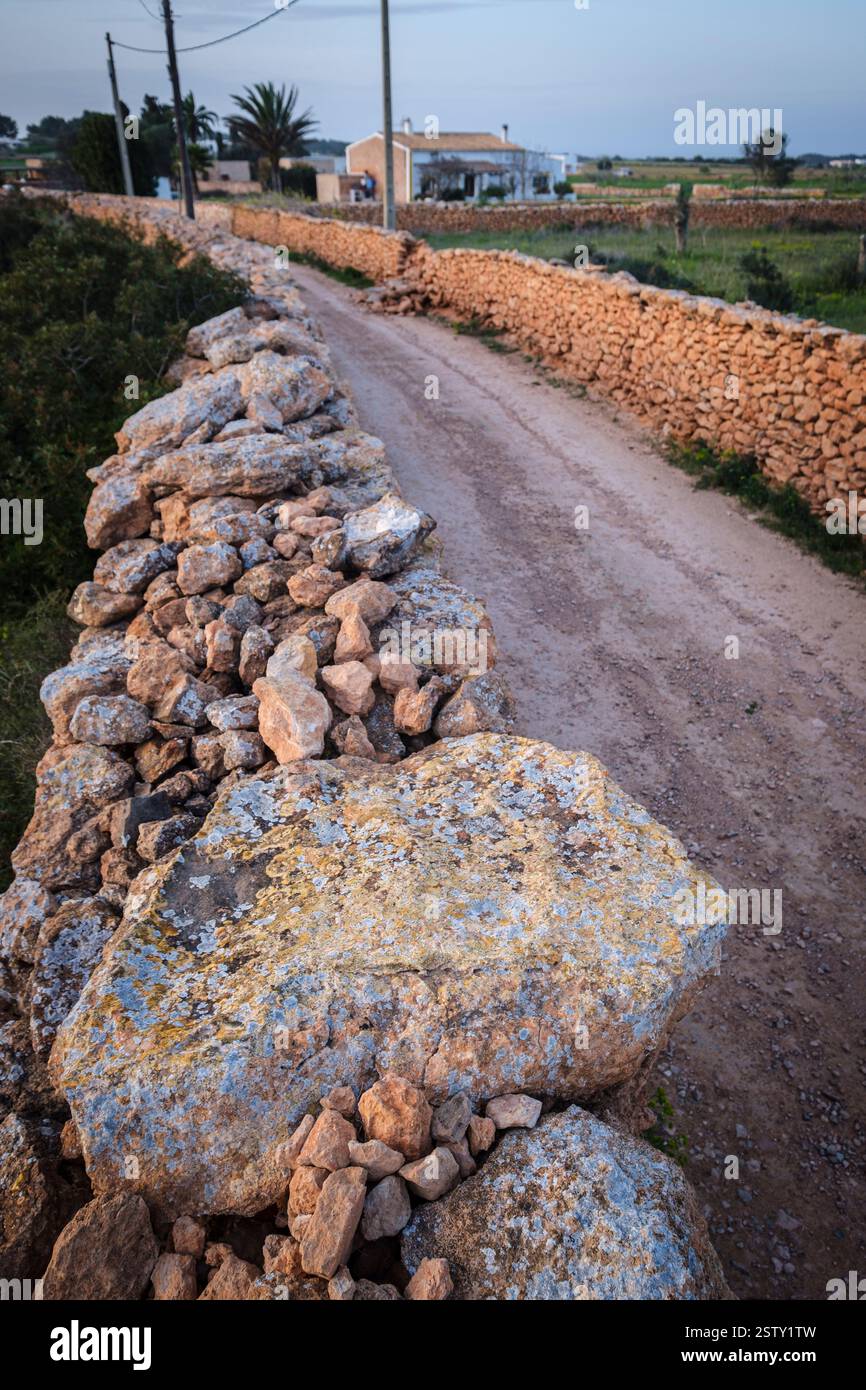 Traditional stone walls for agricultural land Stock Photo - Alamy