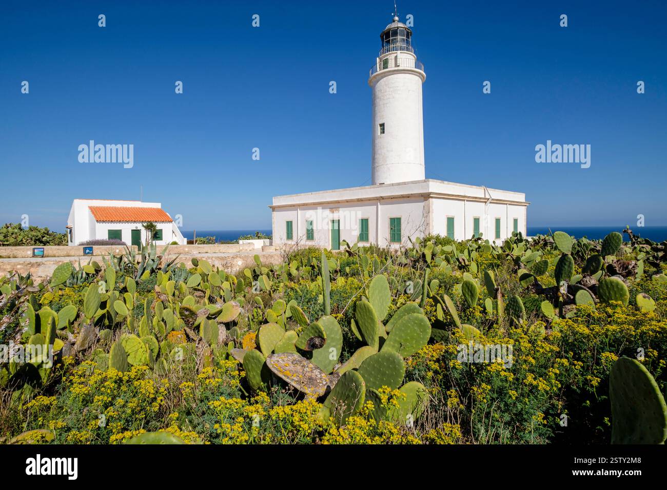 La mola lighthouse in hi-res stock photography and images - Alamy