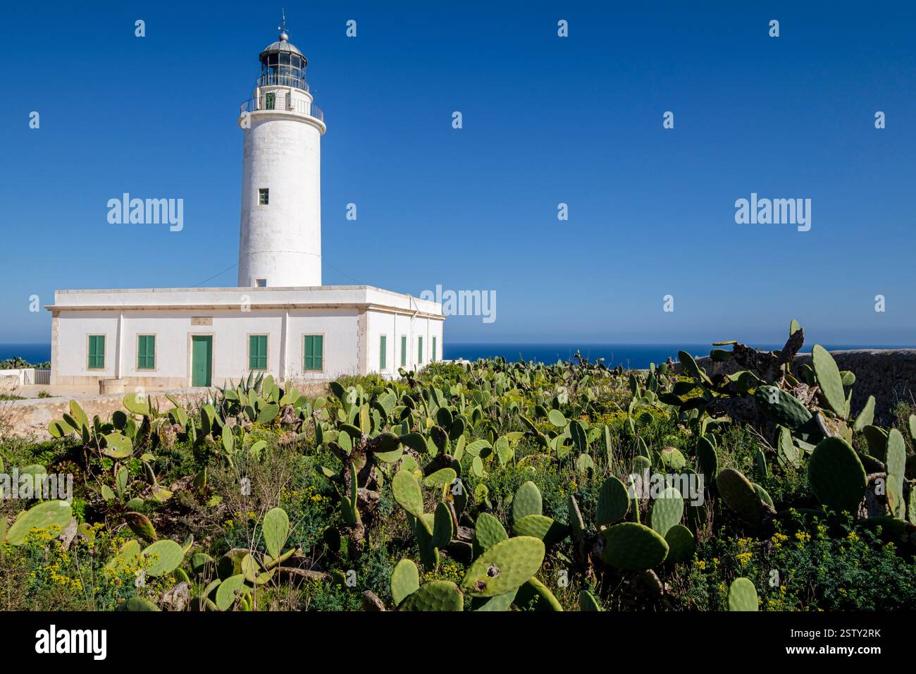 La mola lighthouse in hi-res stock photography and images - Alamy