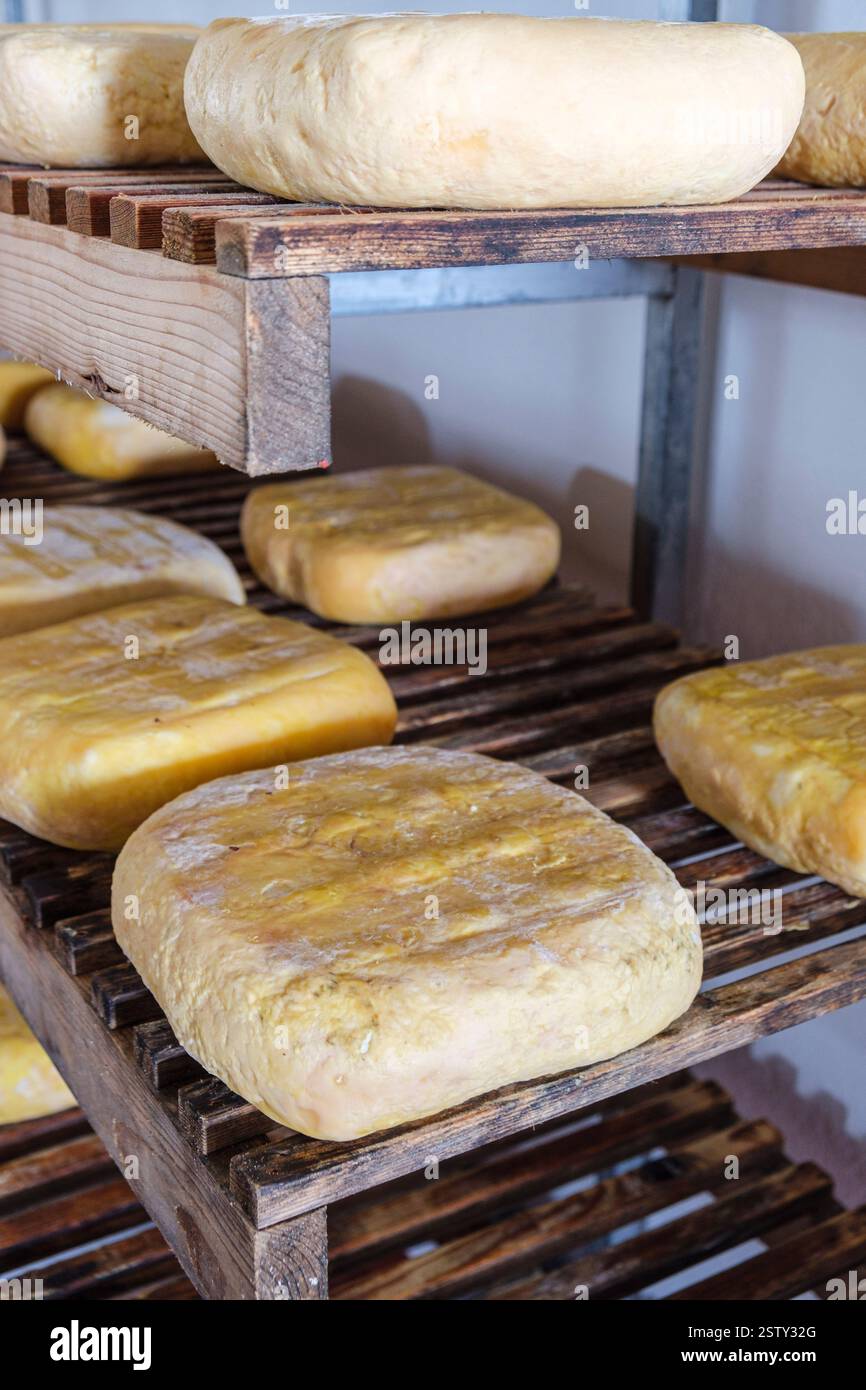 Cheese ripening shelves hi-res stock photography and images - Alamy