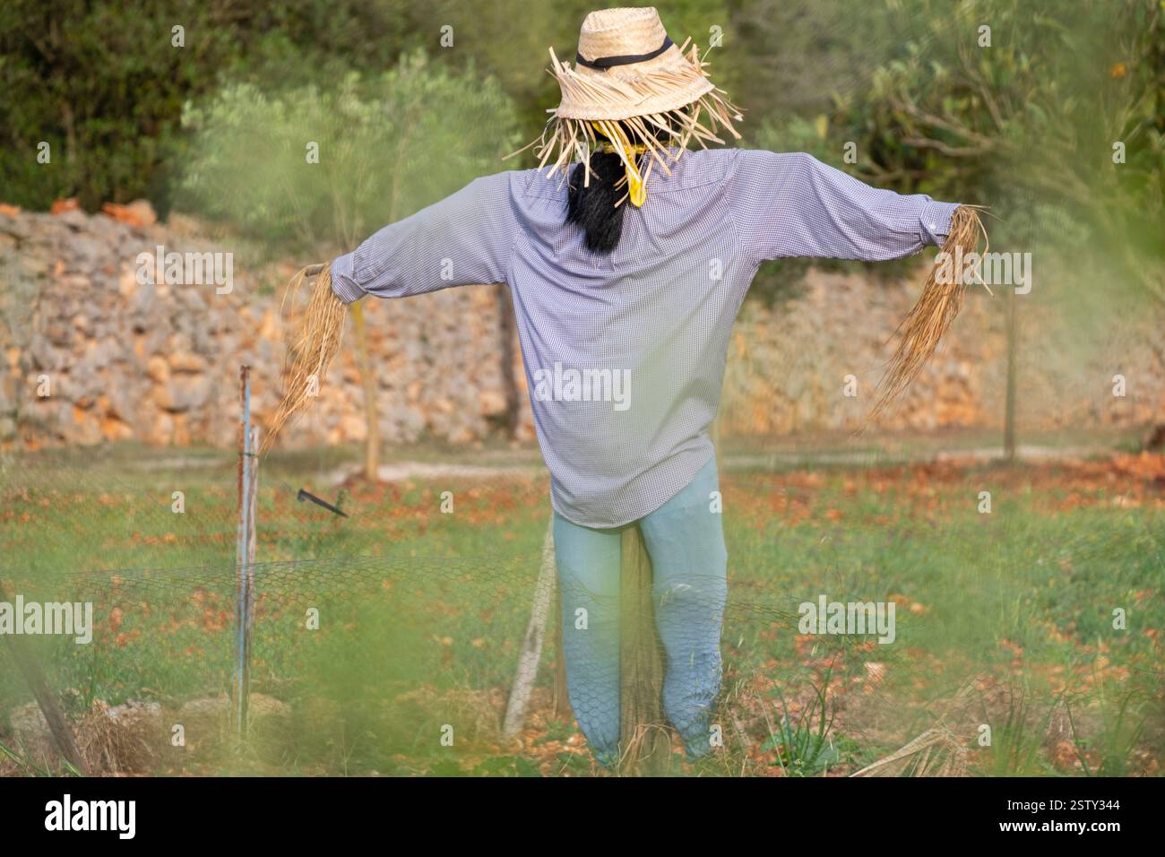Scarecrow in a field hi-res stock photography and images - Alamy