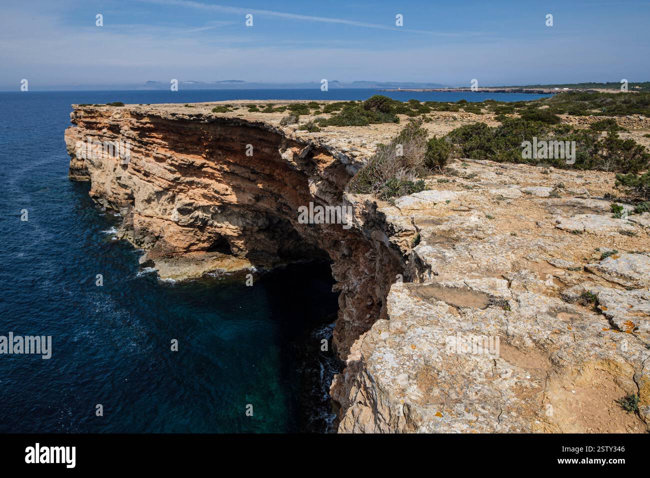 Rasa hi-res stock photography and images - Alamy